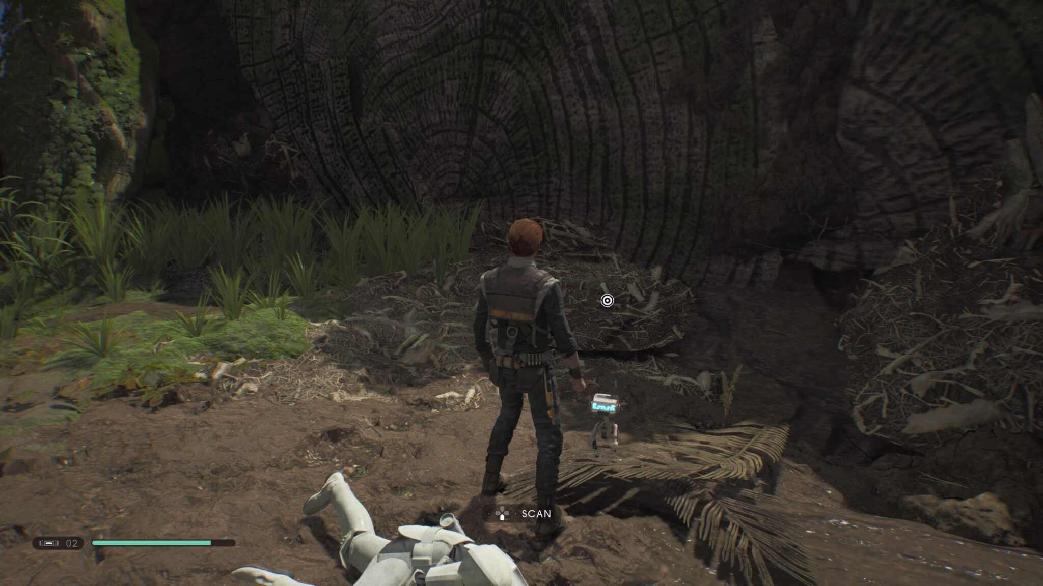 Star Wars: Jedi Fallen Order Terrarium Seeds Guide