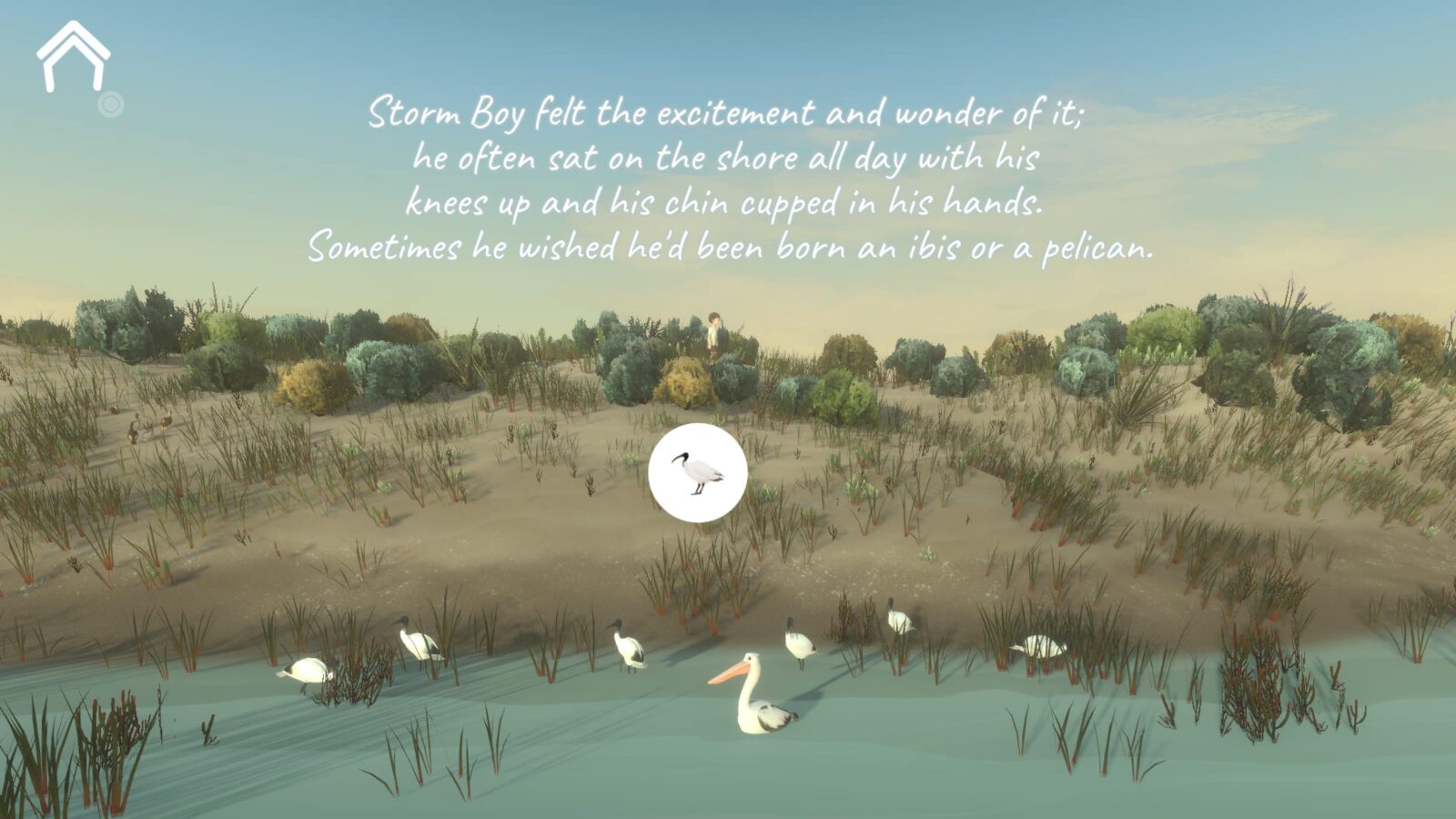 Storm Boy Trophy Guide and Road Map (PlayStation 4)