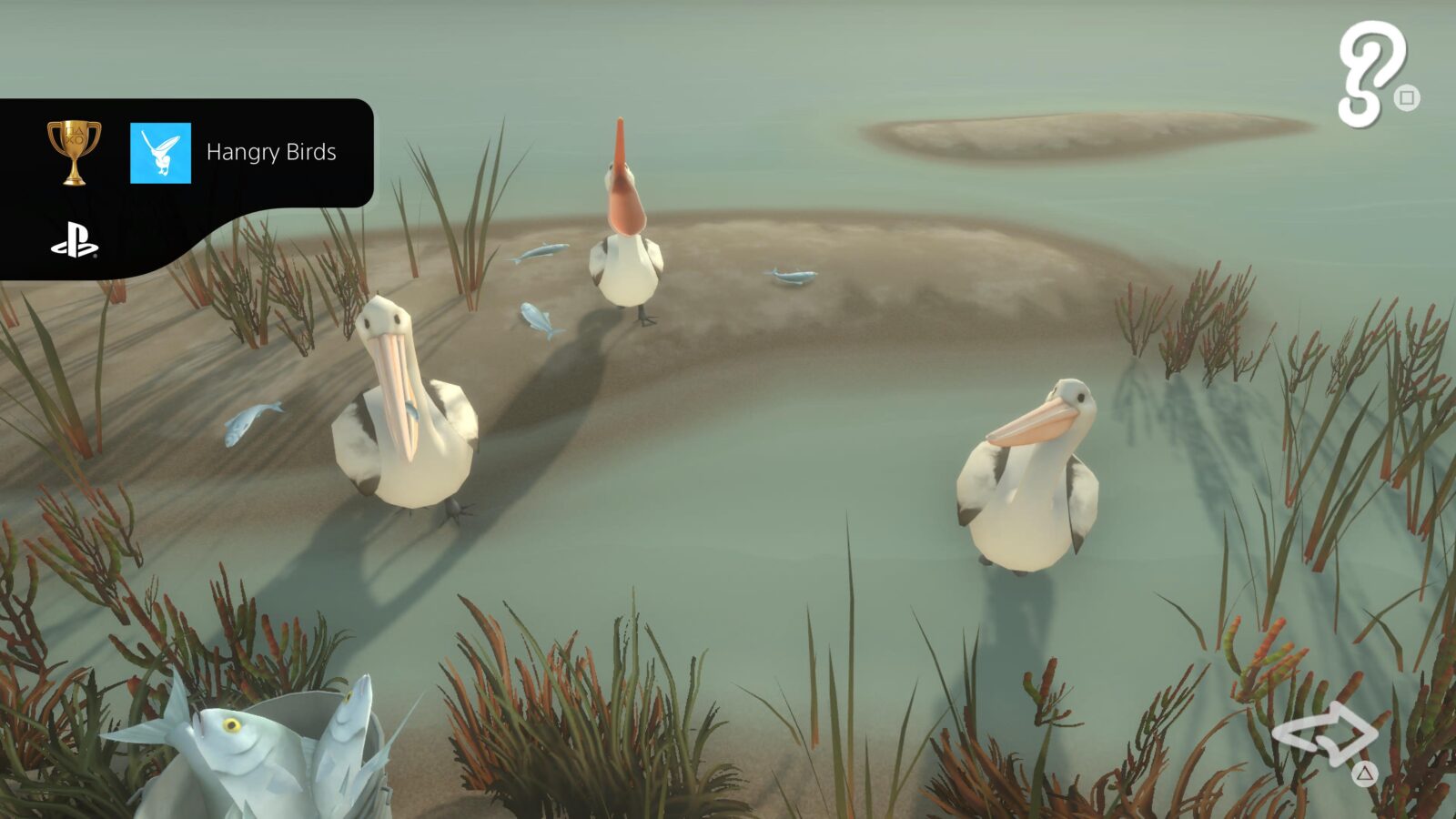 Storm Boy Trophy Guide and Road Map (PlayStation 4)