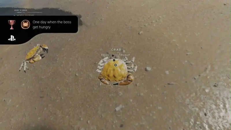 Stranded Deep Trophy Guide & Road Map (PlayStation 4)