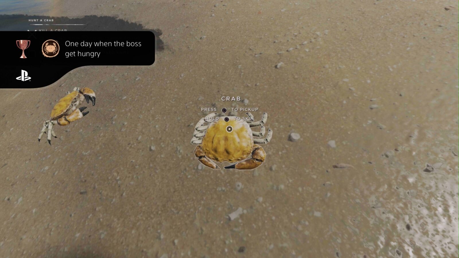 Stranded Deep Trophy Guide & Road Map (PlayStation 4)