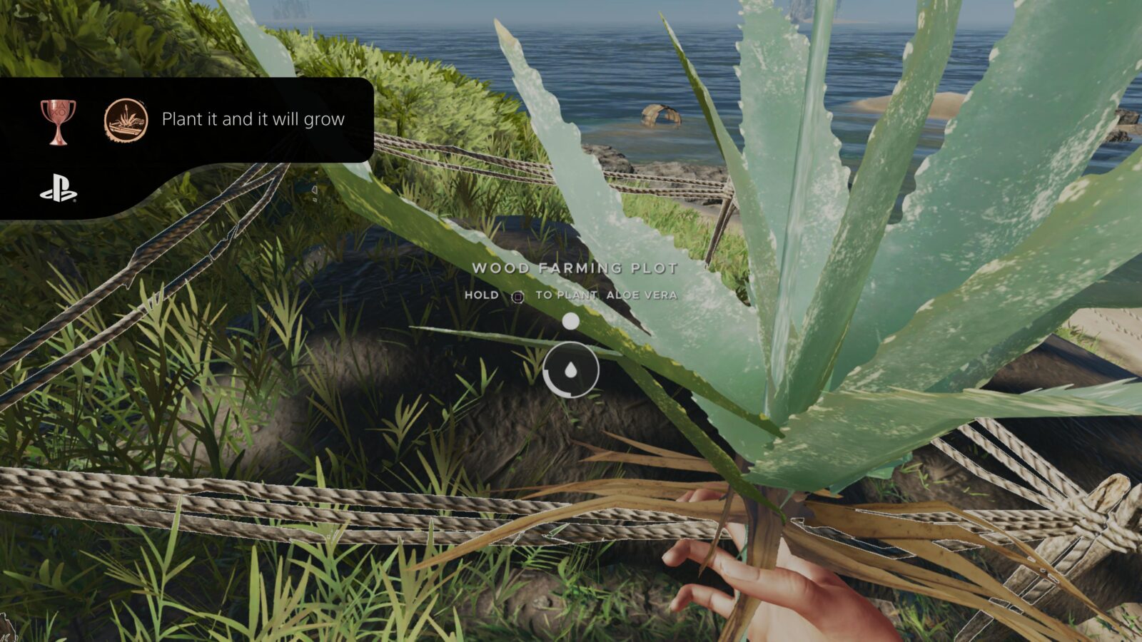 Stranded Deep Trophy Guide & Road Map (PlayStation 4)