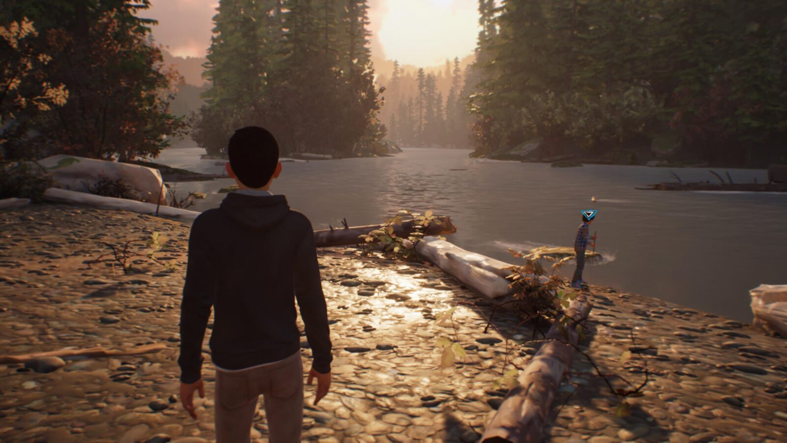 Life is Strange 2 Trophy Guide & Road Map (PlayStation 4)
