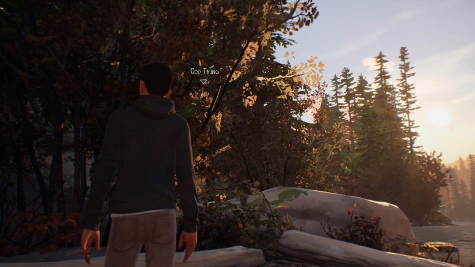 Life is Strange 2 Trophy Guide & Road Map (PlayStation 4)