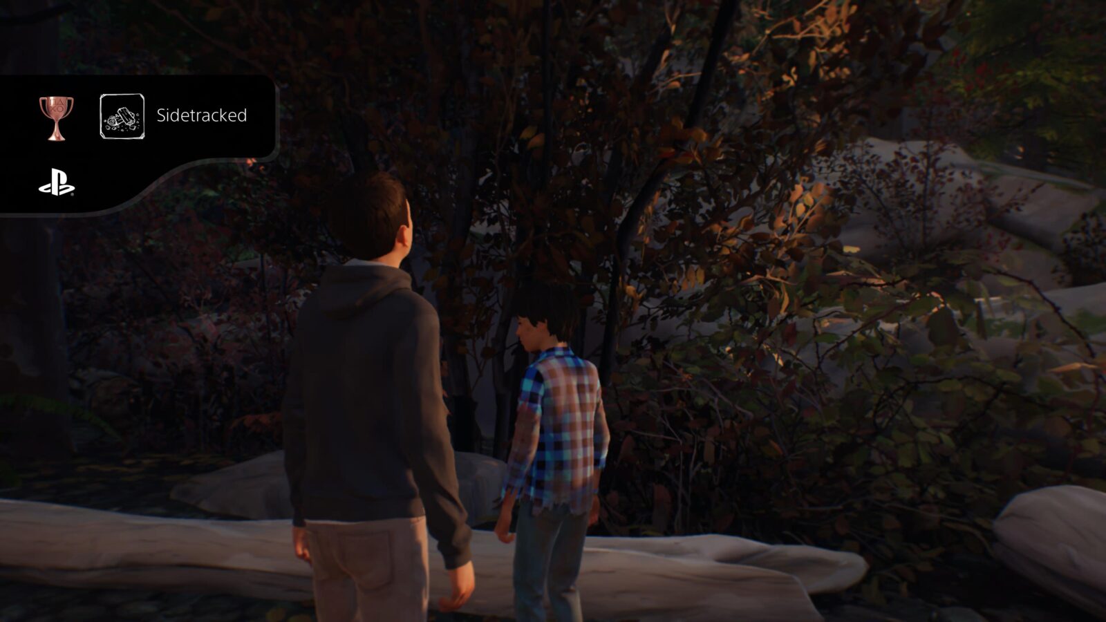 Life is Strange 2 Trophy Guide & Road Map (PlayStation 4)