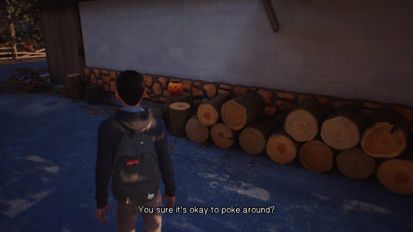 Life is Strange 2 Trophy Guide & Road Map (PlayStation 4)