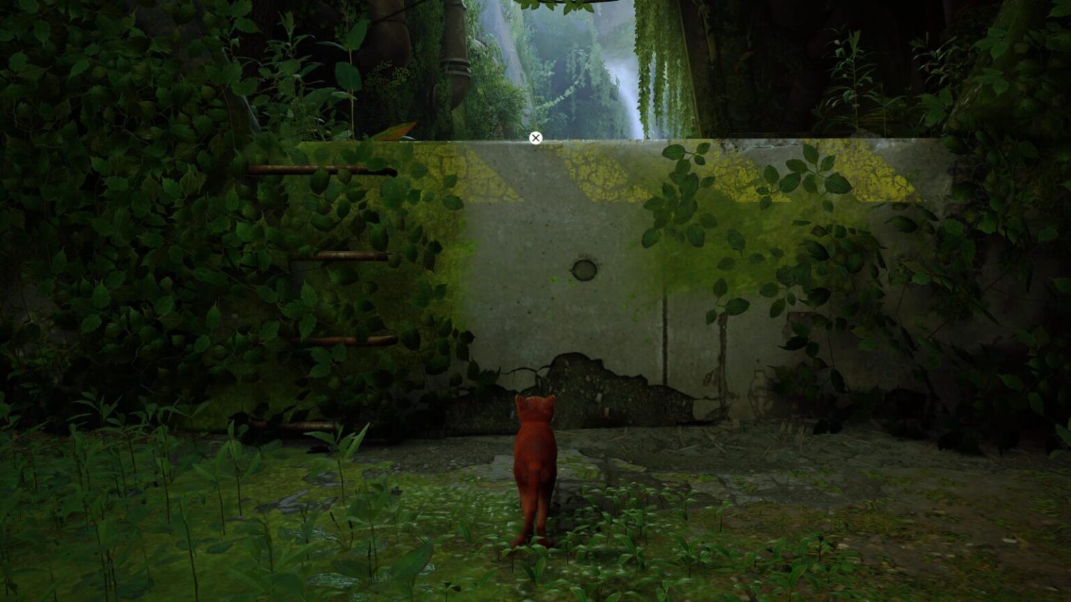 Stray Collectibles Guide