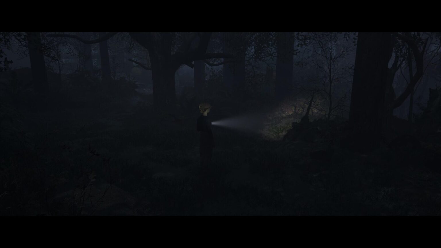 The Quarry Collectibles Guide (PS4 & PS5)